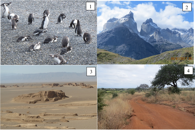 Mulla koostis, teke ja areng